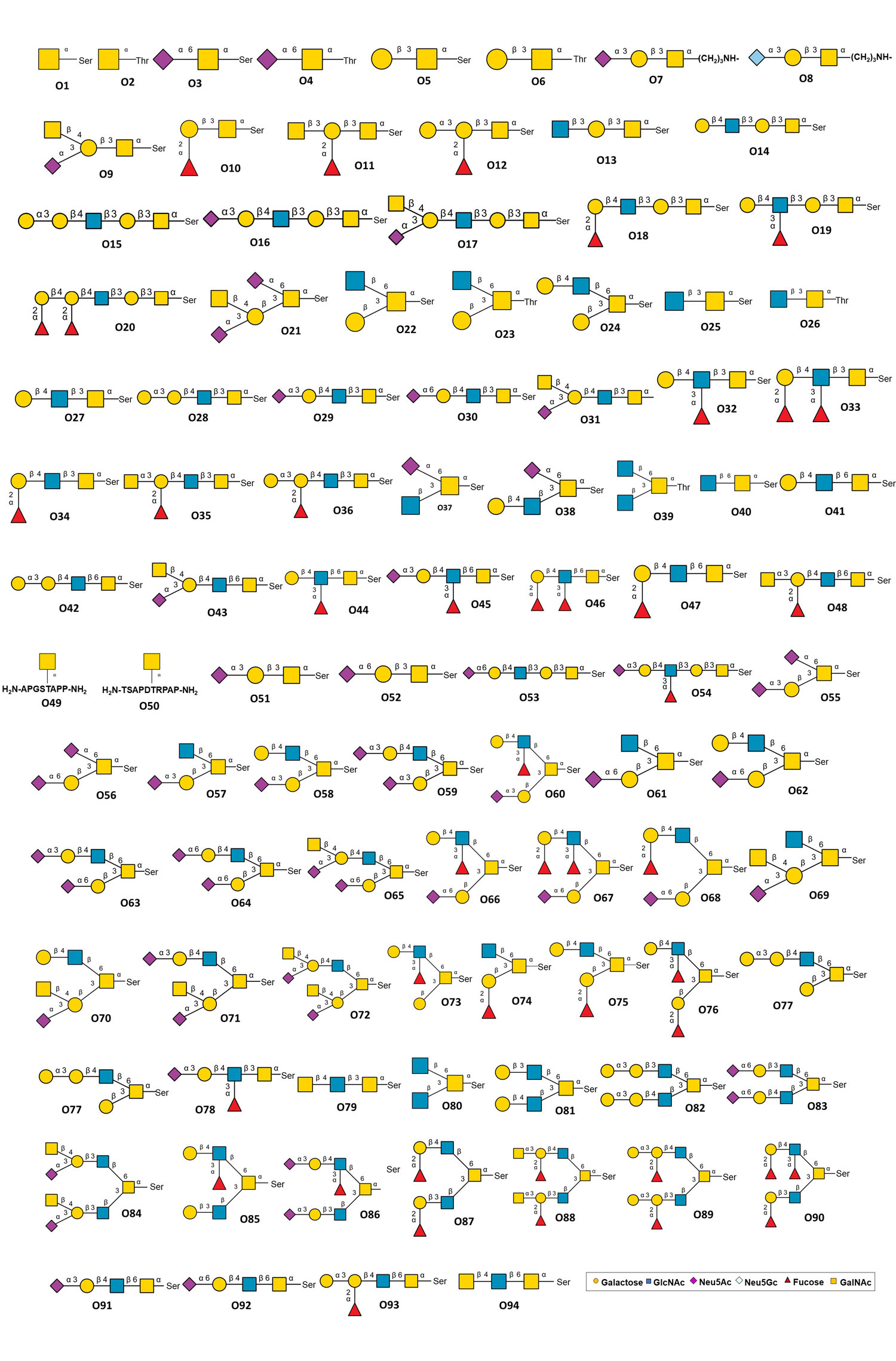O-Glycan Array - ZBiotech O-Glycan Array - ZBiotech